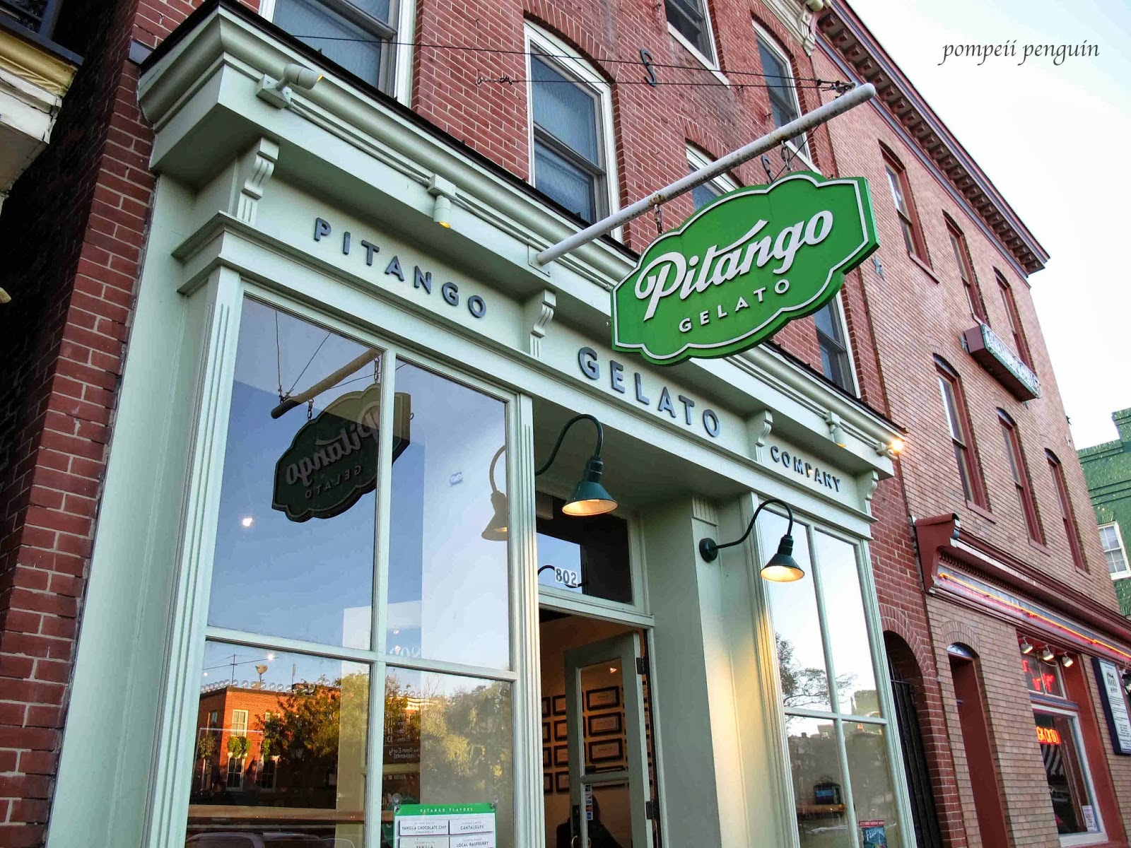 Pompeii Penguin- Attempting to Fly: Pitango