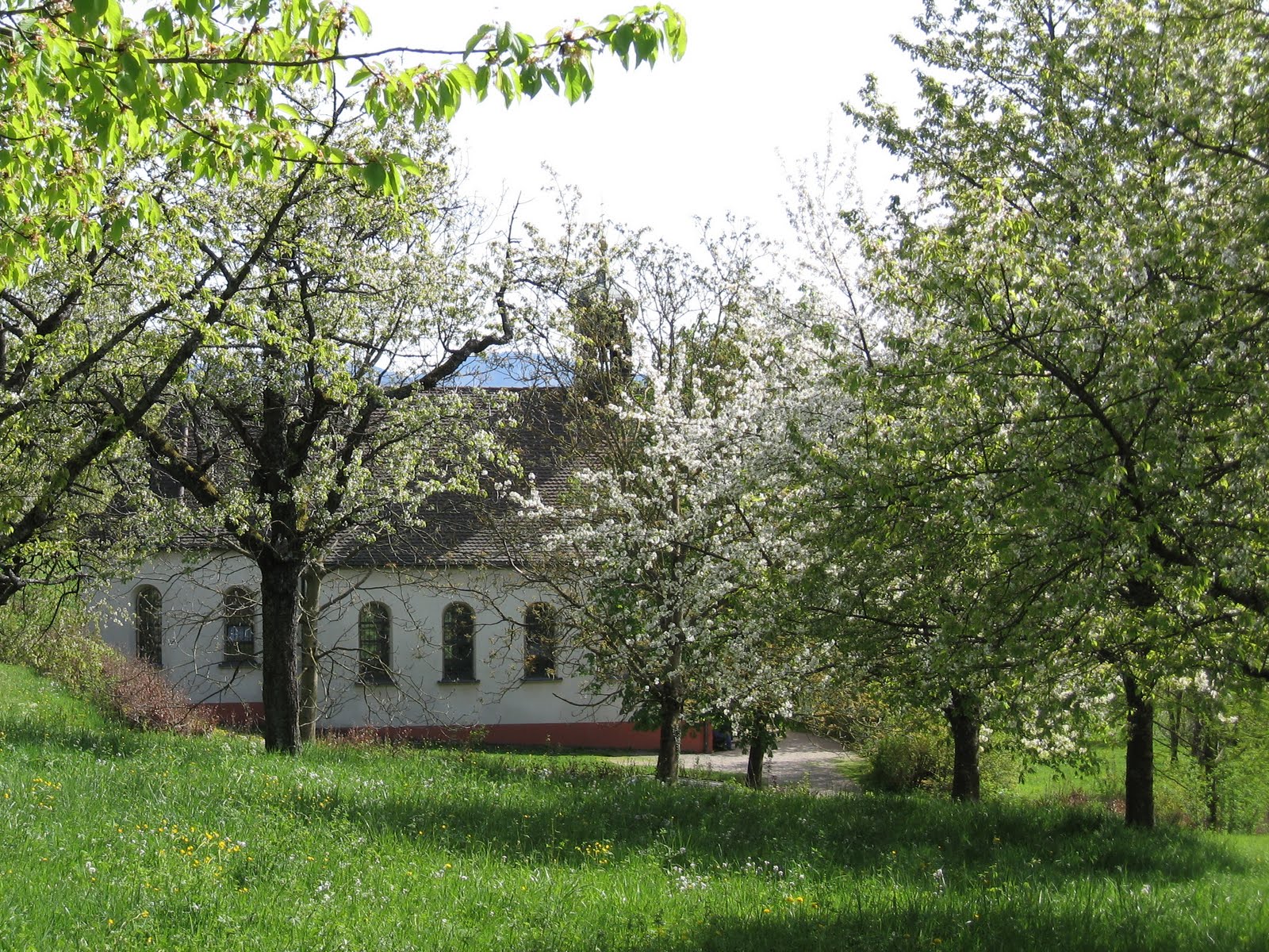 KurpfalzWandern: Wandern im Breisgau und im Markgräfler Land