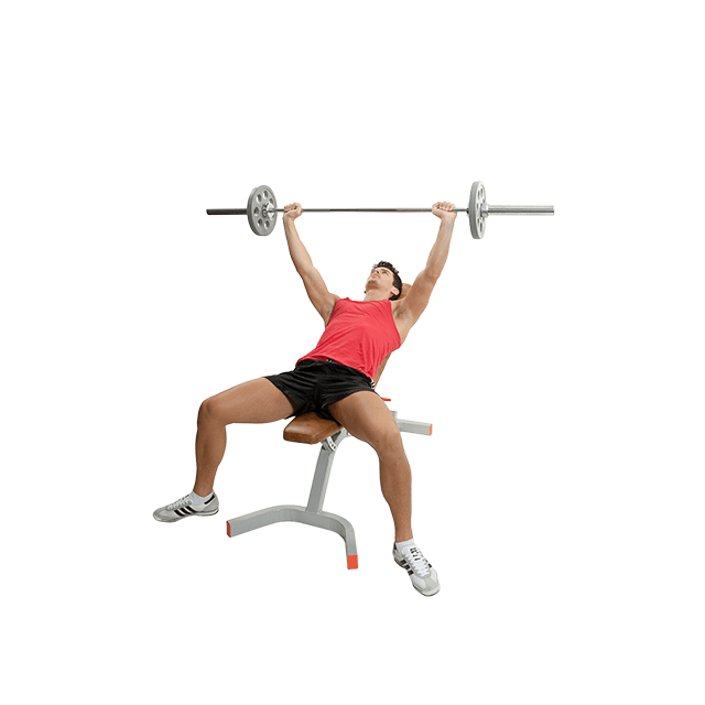 incline bench press angle and technique for chest by WS Fitness and ...