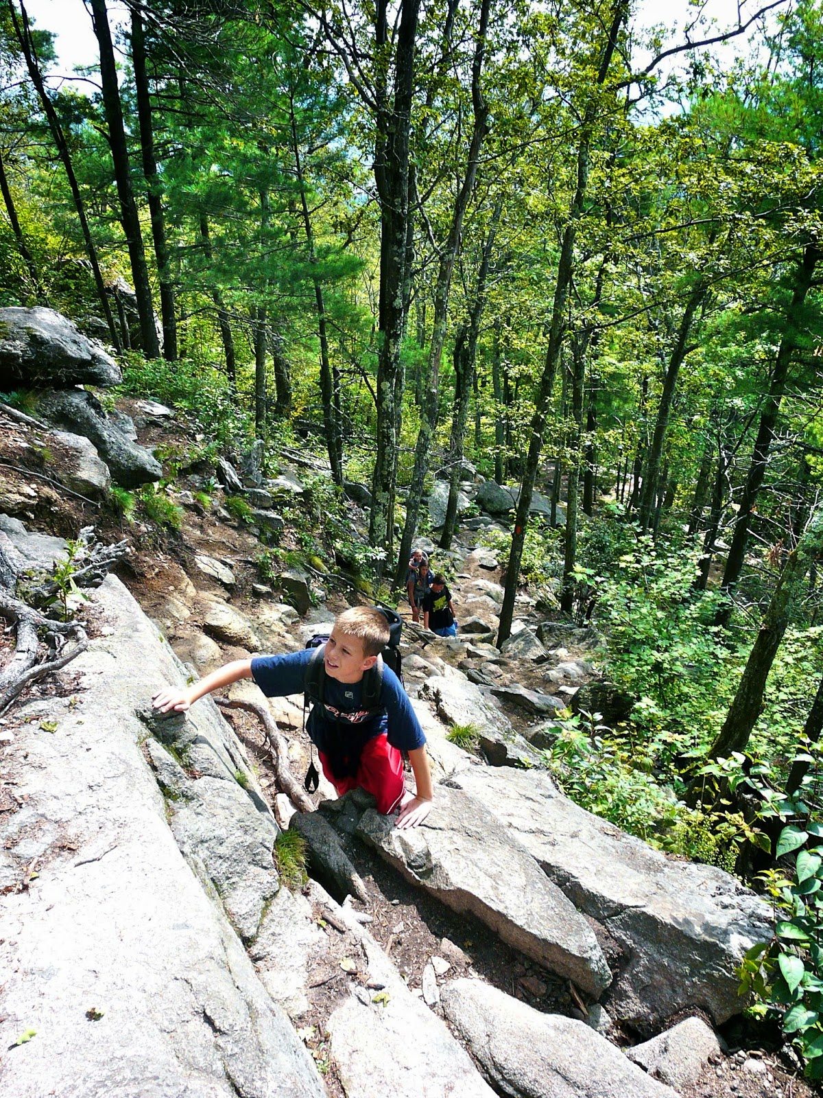 The Freelance Adventurer : 3 Great Spring Mountain Hikes in Northern ...