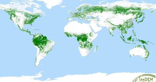 ANPP Animales y Plantas de Perú: Crean un Mapa con Todos los Bosques ...