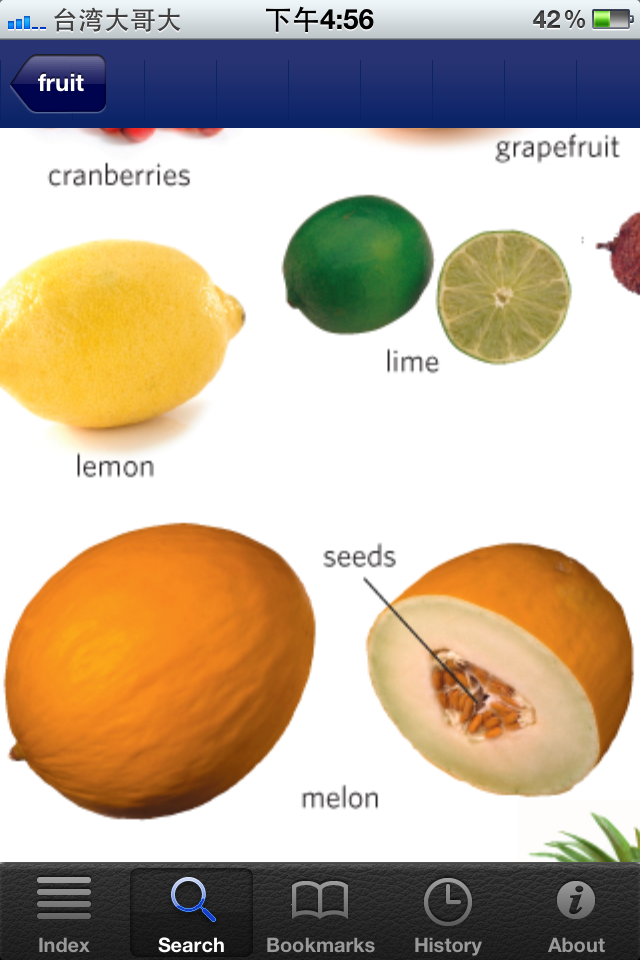 【健康第一】: LDOCE Plus 實測開箱-2 【深度評論分析】