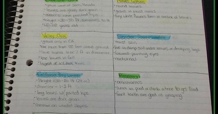 Little Piece of Tape: Creating a Field Guide in the Classroom