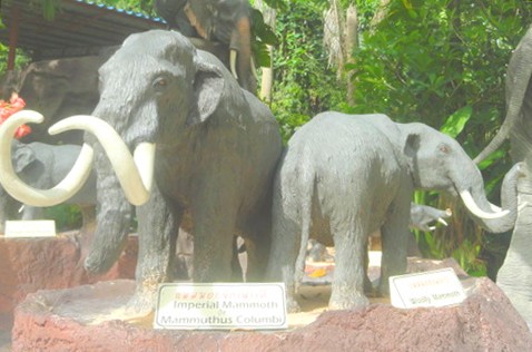 Здоровье. Человек. Природа.: Скульптурные композиции (16). Памятники ...