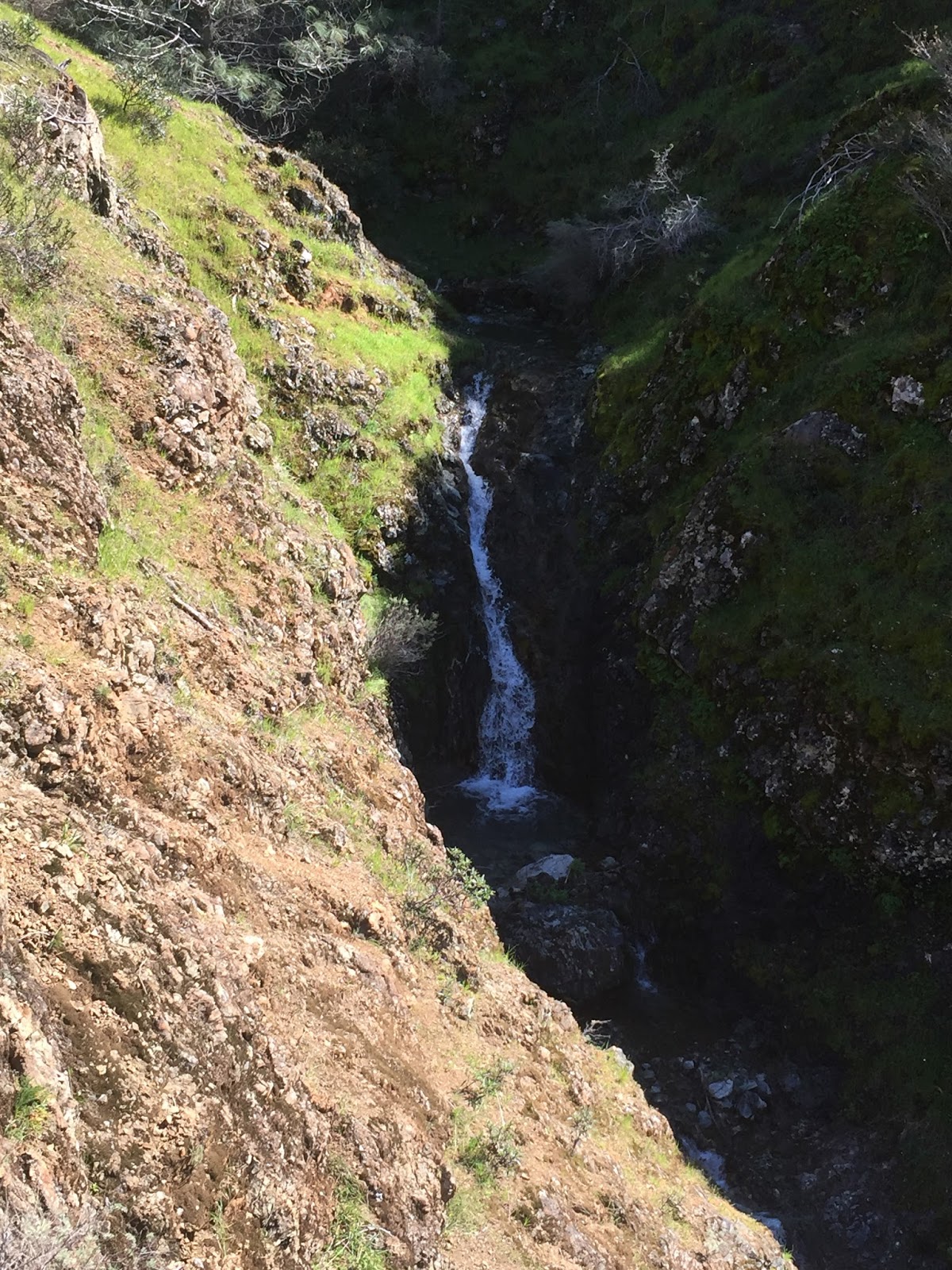 Run-Hike-Play: Hiking Mt. Diablo Falls Trail Loop with the Fam