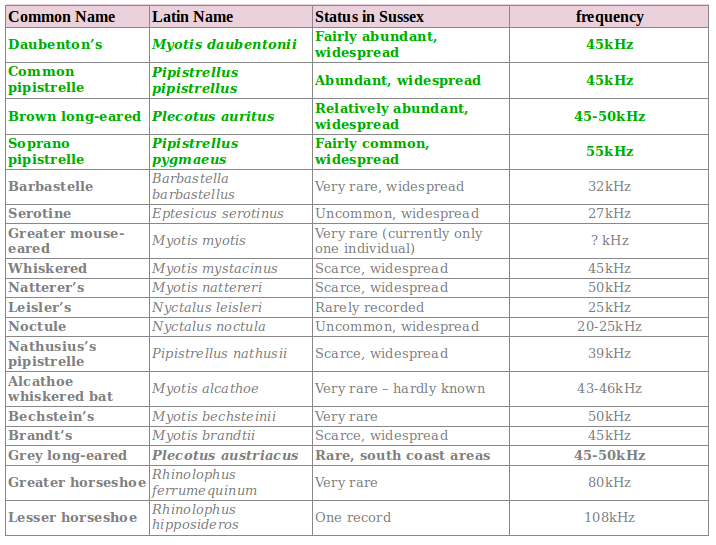 Captain Bodgit: Bat Detector Overhaul