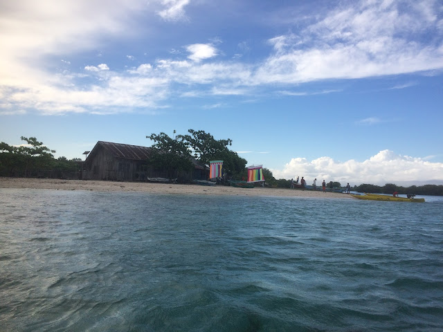 Sta. Cruz Island Mangrove-Lagoon & Stingless Jellyfish @ Sta. Cruz ...