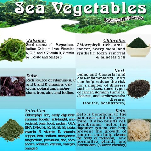 rainbowdiary: Sea Vegetables And Health Benefits