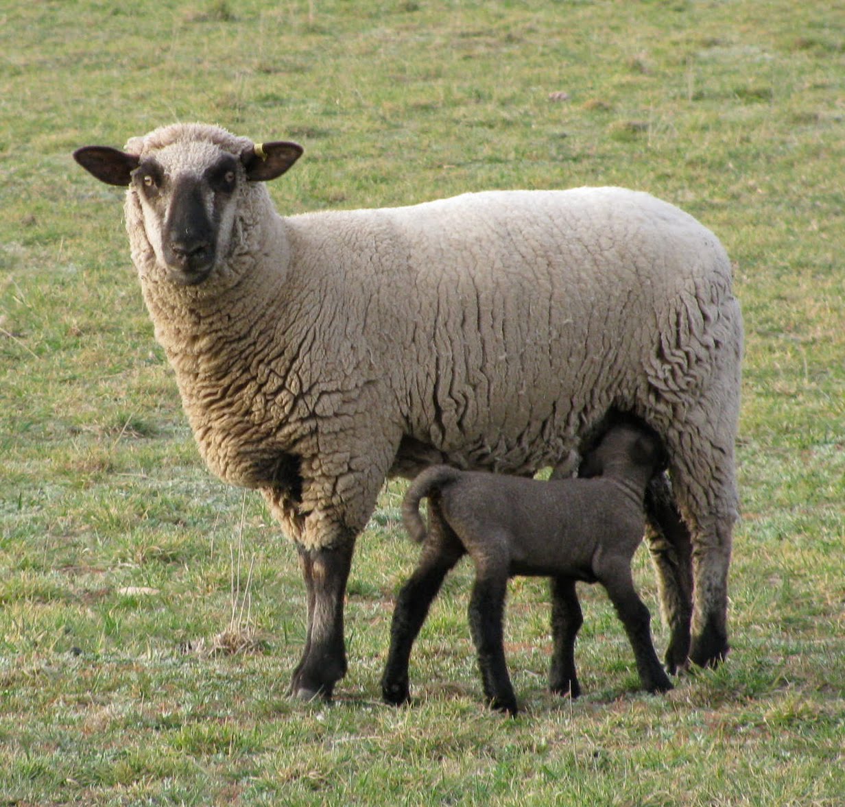 Join Jill and Nick as they take you behind the scenes to see where your ...