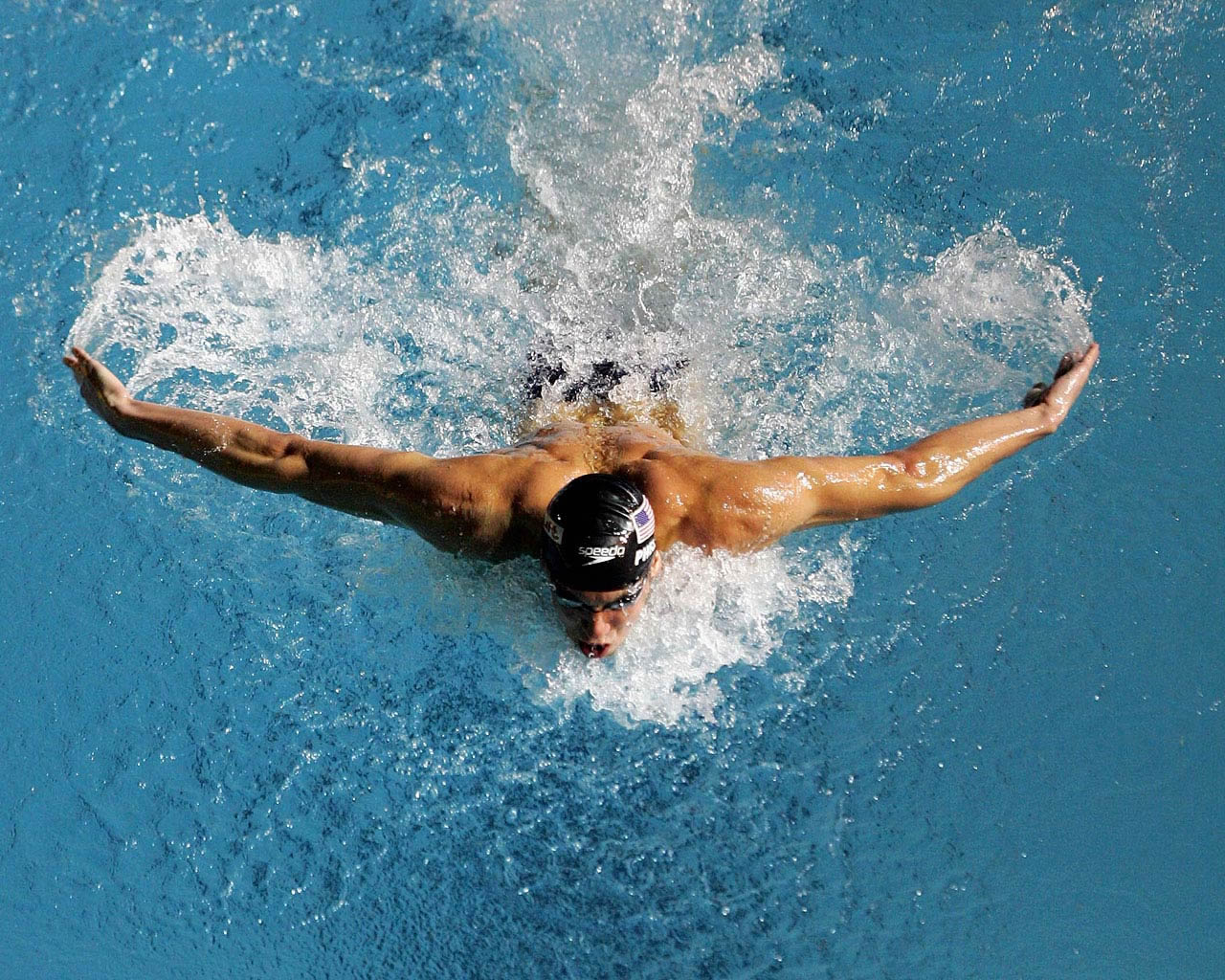 La natación: LA NATACIÓN