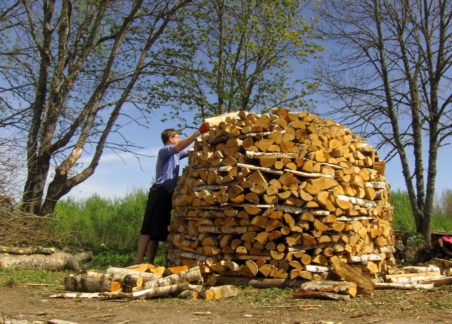 Jan Vutt fotogalerii: Puuriida ladumise talgud Põhjaka mõisas