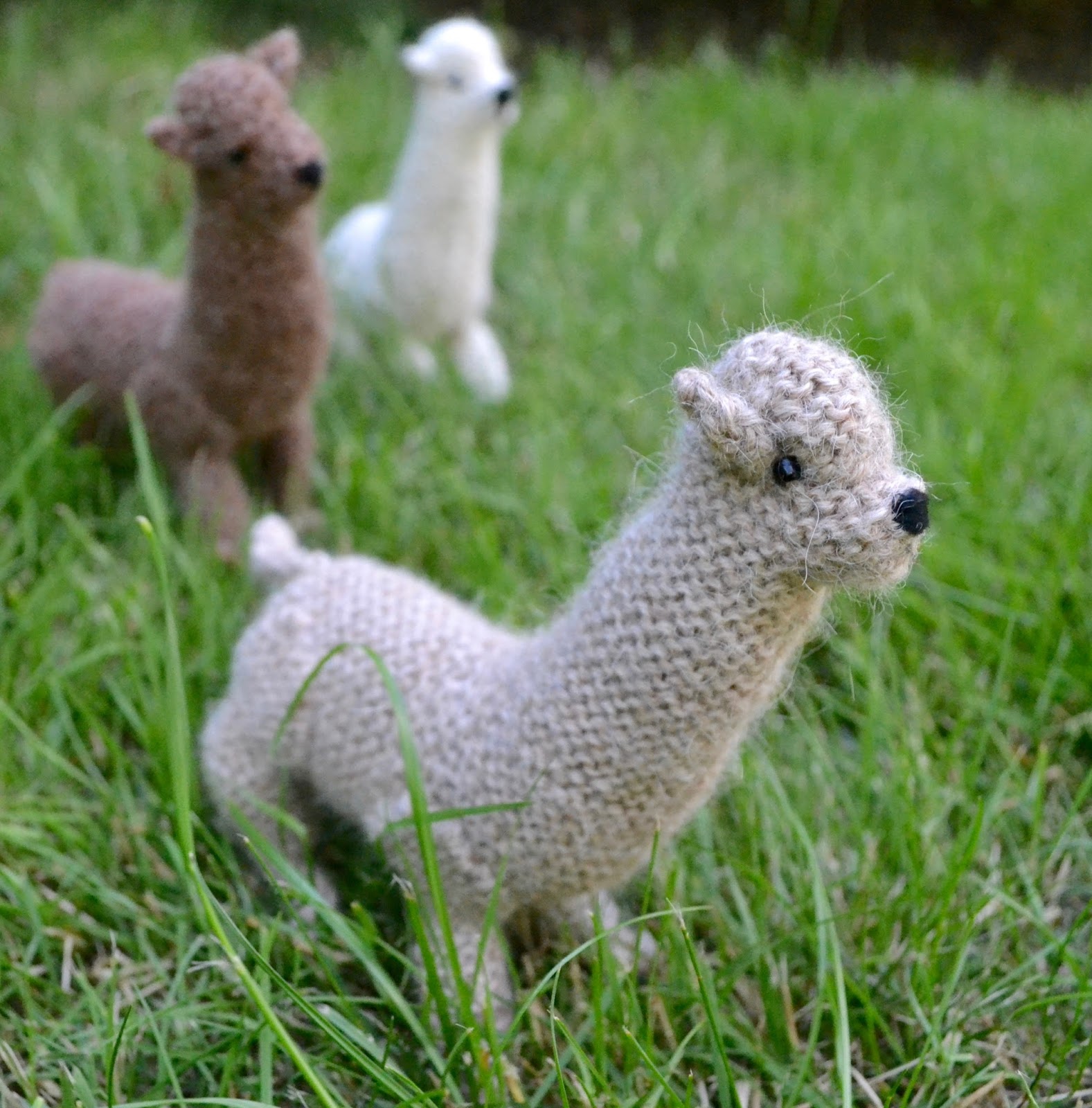 Ginx Craft : Alpaca