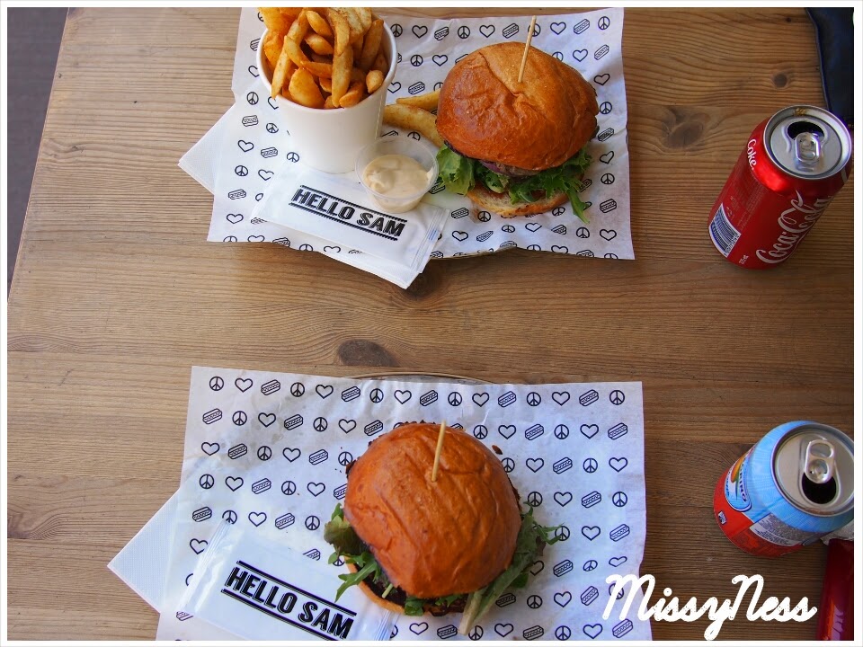 Hello Sam | Missy Ness' Train of Thought