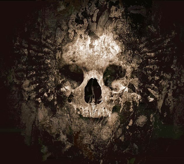 Skull 5 from Dmanisi... rethinking human evolution.