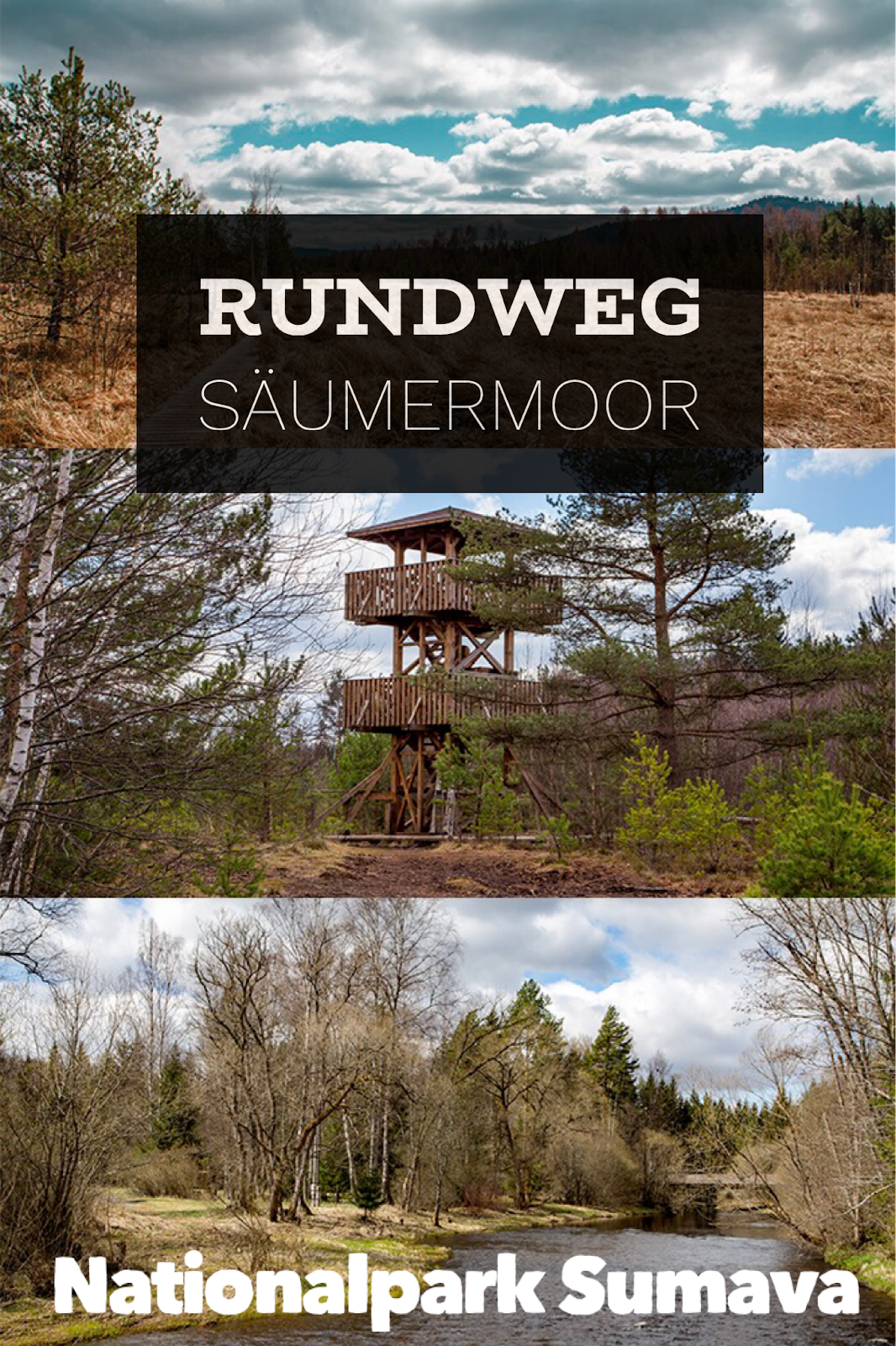 Rundweg im Säumermoor - Soumarské rašeliniště | Nationalpark Sumava