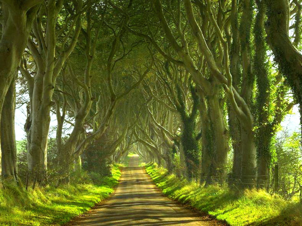 Top 35 Beautiful And Fabulous Paths Wallpapers In HD