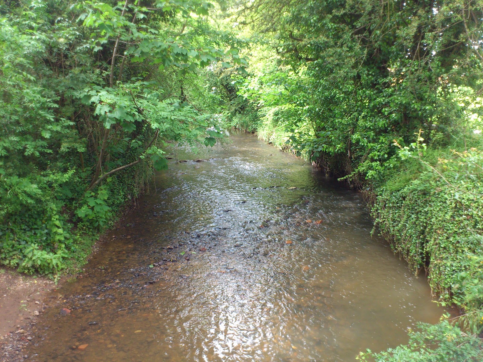 A Brummie's Guide to Birmingham: River Rea; Middlemore Rd - Popes Ln.