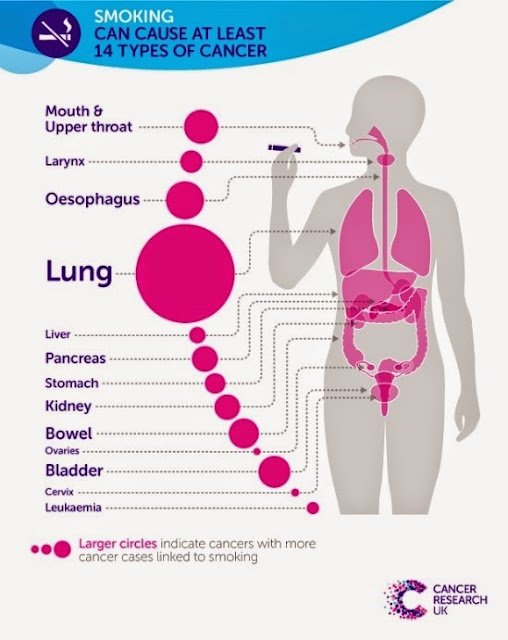 Wellness Lab Health Info: How Smoking Causes Cancer