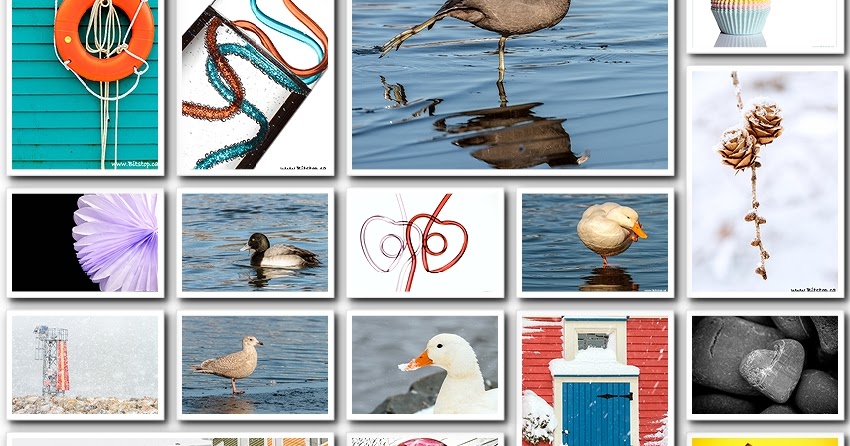 Bitstop: February Collage