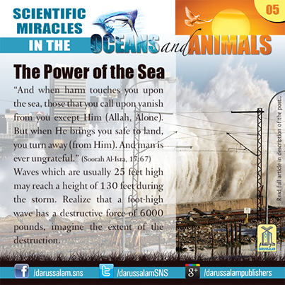 The Power of the Sea - Best Right Way