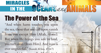 The Power of the Sea - Best Right Way