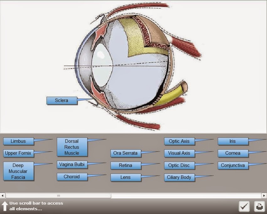 Eye Opener: How to use tests and quizzes