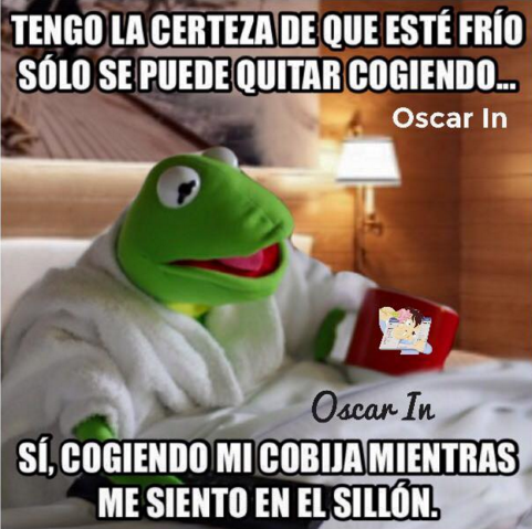 Memes de la rana rene: 6 Memes de la rana rene para facebook 2016