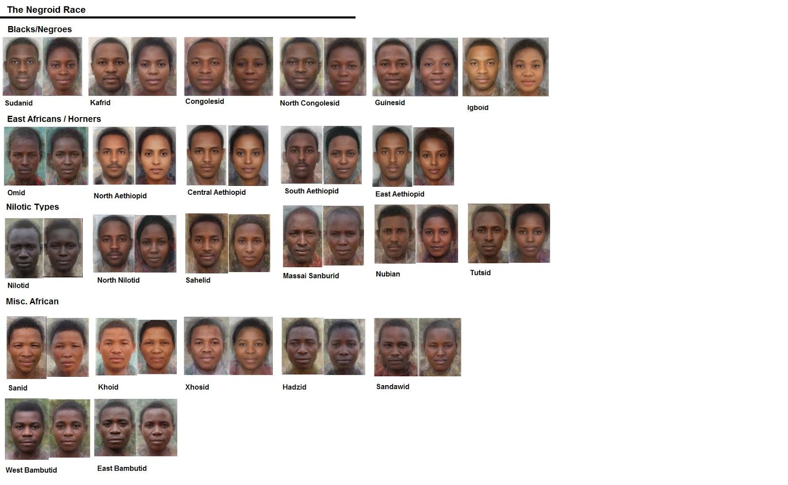 1000+ images about Antropologi on Pinterest