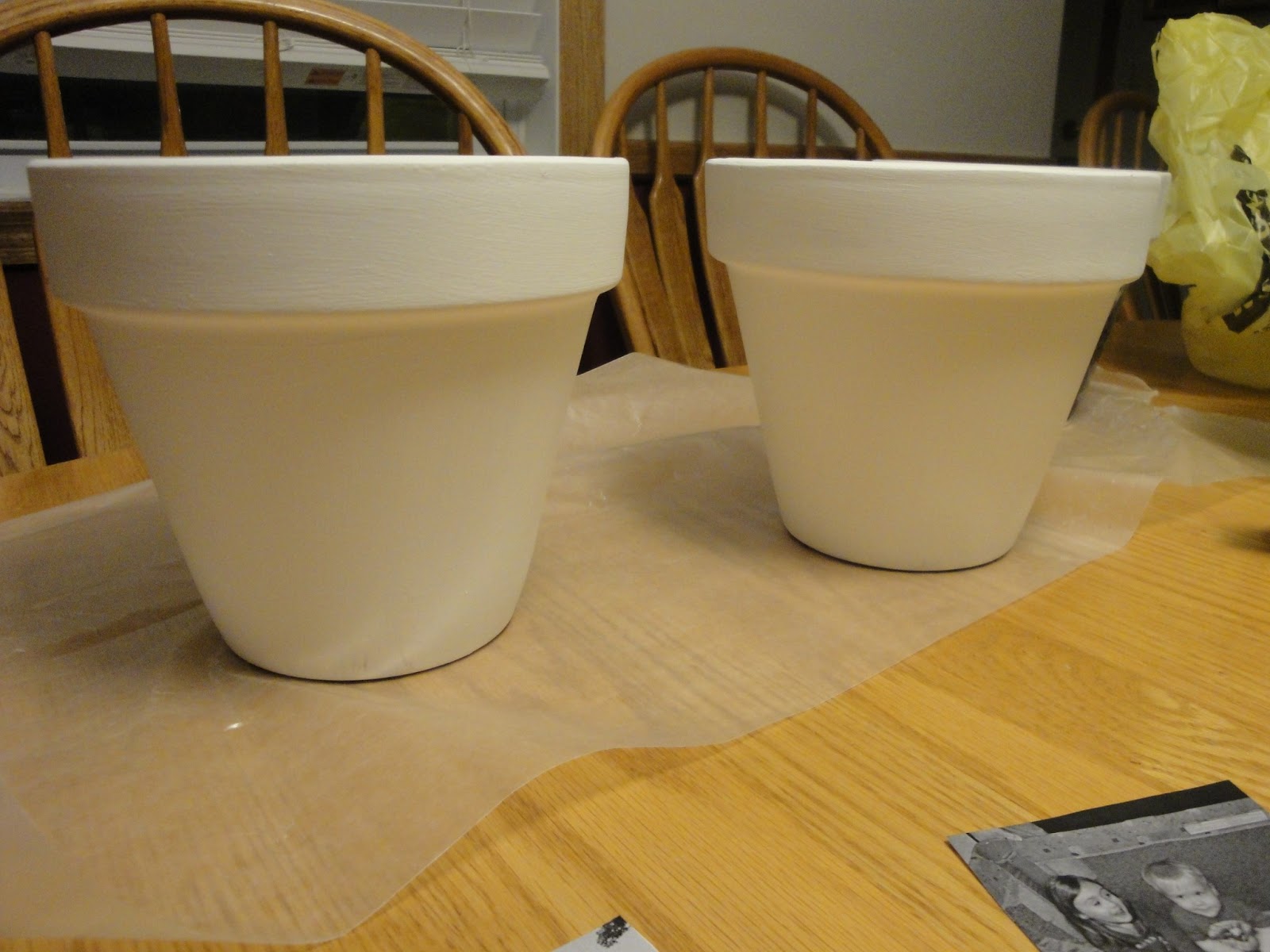 The Fight Against Boredom: Modge Podge Photo Collage Flower Pot