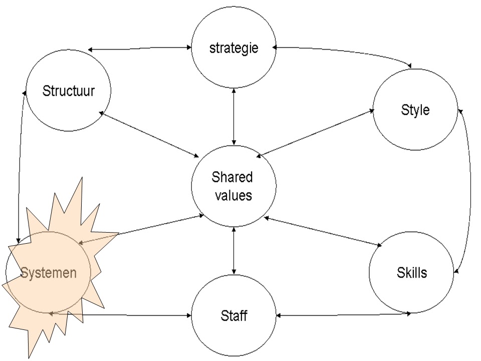 7 S-en model en cultuurverandering