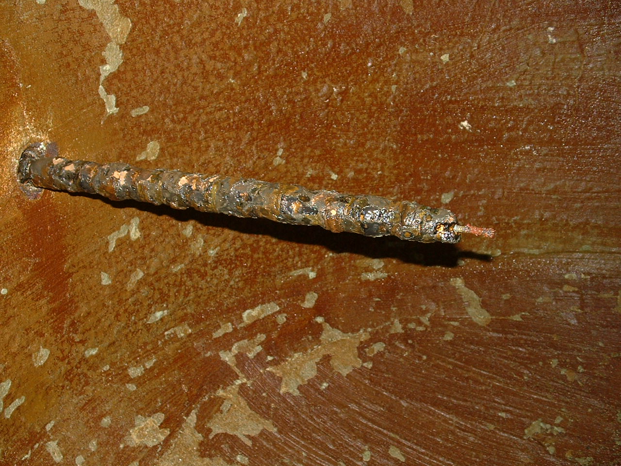 Hot Water Storage Tank: Do Your Anodes Look Like This?