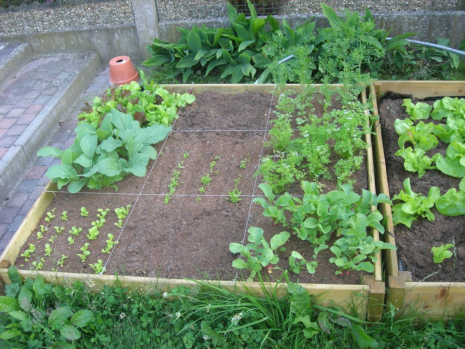 Ecologisch tuinieren met ECOstyle: Benieuwd hoe mijn 2 moestuinbakken ...