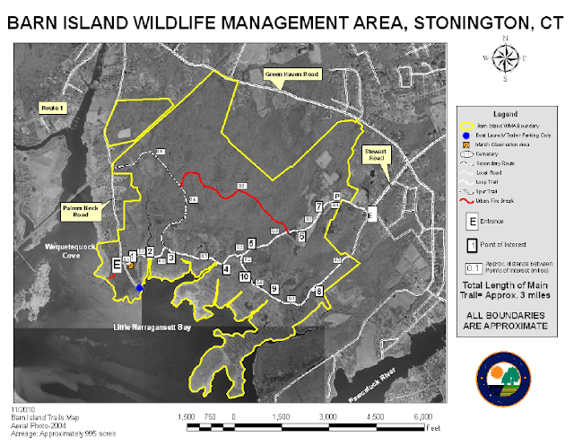 Katie Wanders : Barn Island - Stonington, Connecticut