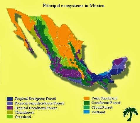 Citlali Reyes: ECOLOGY OF MEXICO 2014, BY CITLALI REYES
