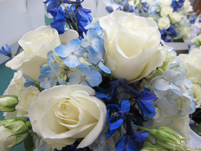 Tish Long Flowers: Refreshing