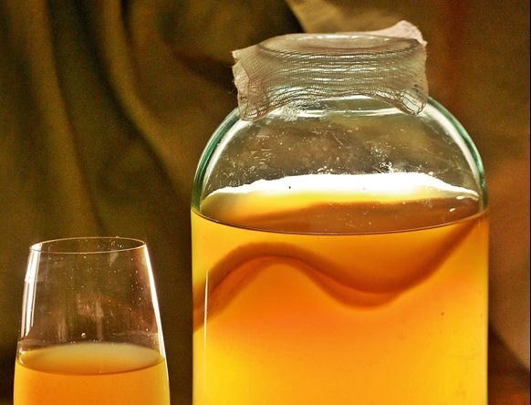 Kā palīdz tējas sēne