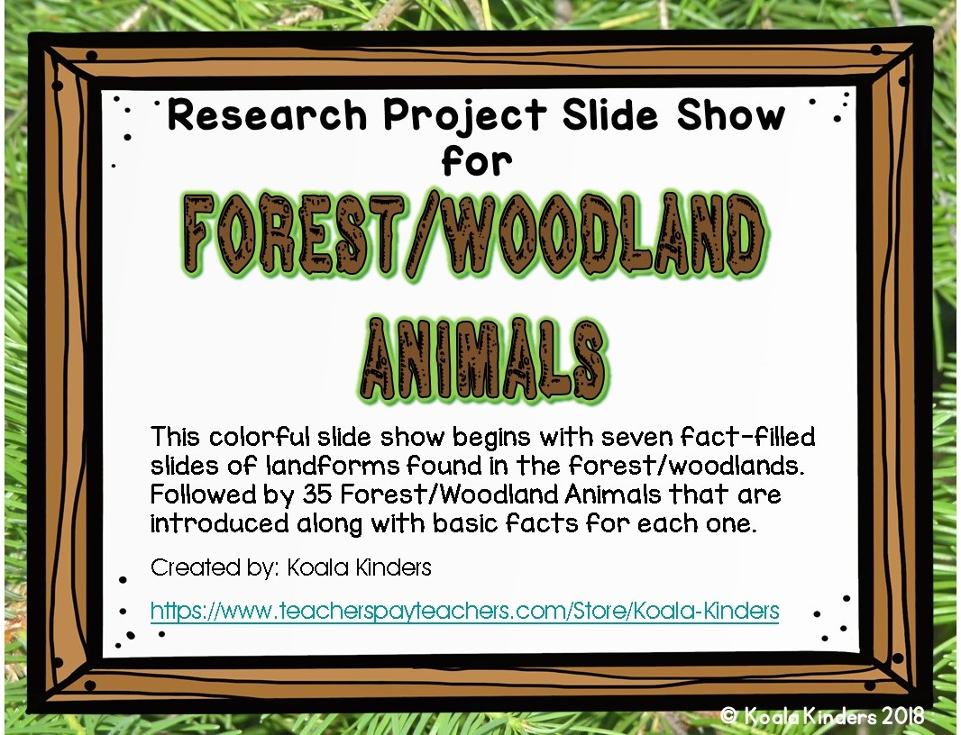 Koala Kinders: Forest/Woodland Animal Mega Research Packet