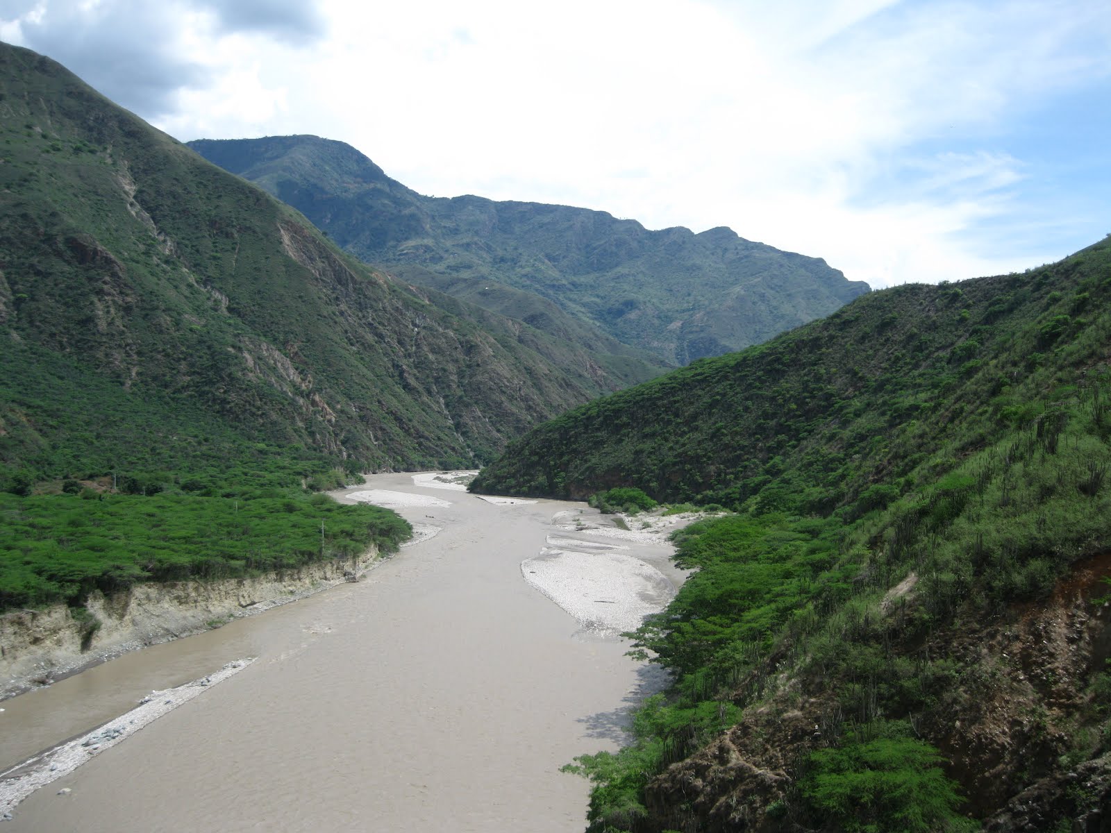 36 Excellent photos of Colombia Amazon Rainforest: The best wildlife ...