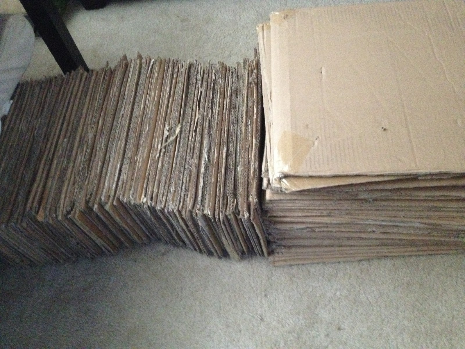 Crafts by Kimi Jo: Sunday May 26 2013 (cardboard scratcher)