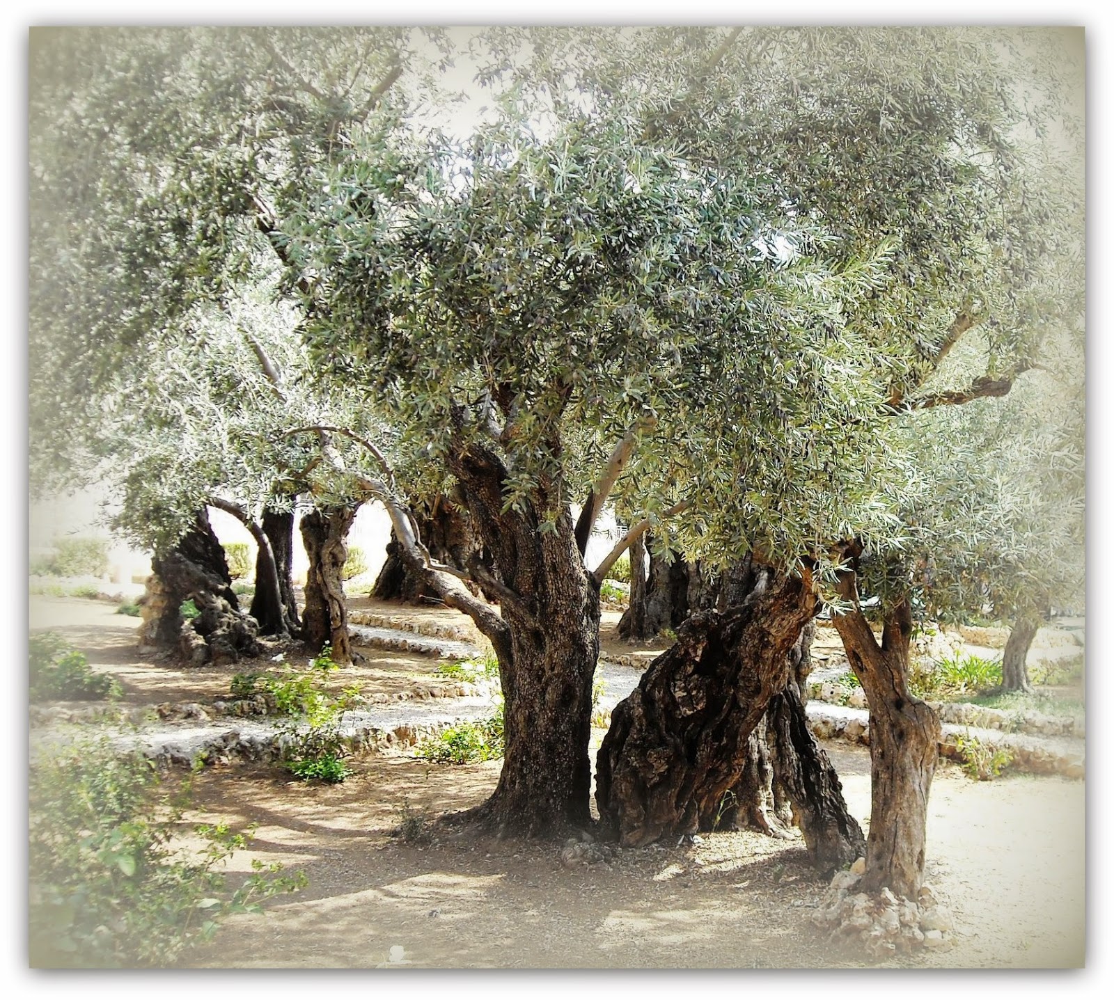 Just thinking: The Gospel?