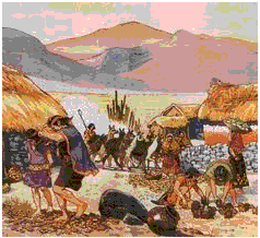 Opiniones de Mitimae