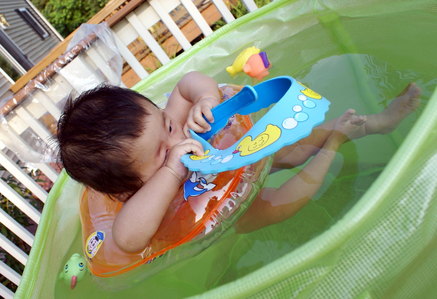 Tranquility Spot: Big Kid Pool