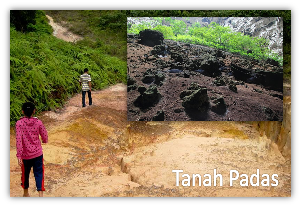 Legendaku: Mengenal Lebih Dekat Jenis-Jenis Tanah yang Ada di Indonesia