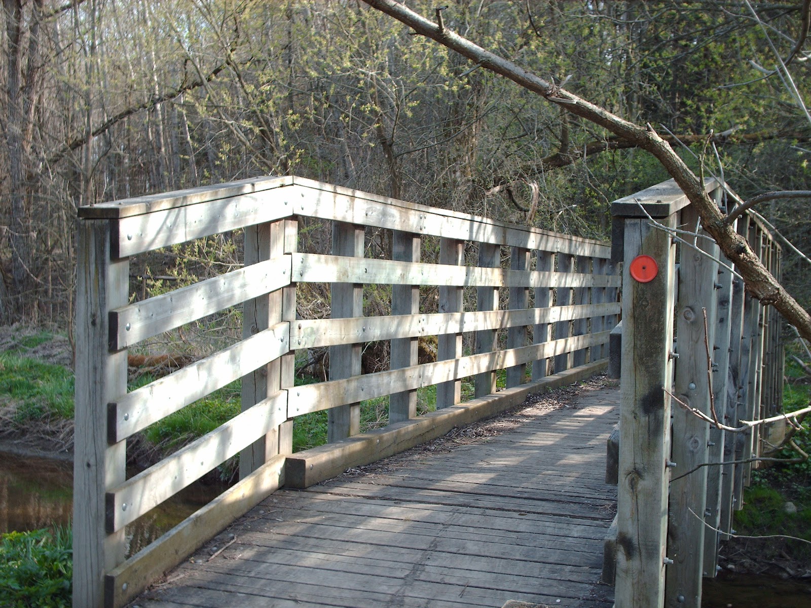 A Photographic Tour of Embro Conservation Area - Chase March - Official ...