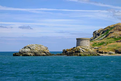 photopol: BREWSTER & HIS MARTELLOS