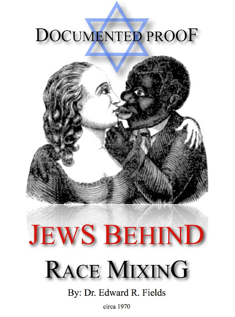 Der Stürmer: Jews Behind Race Mixing