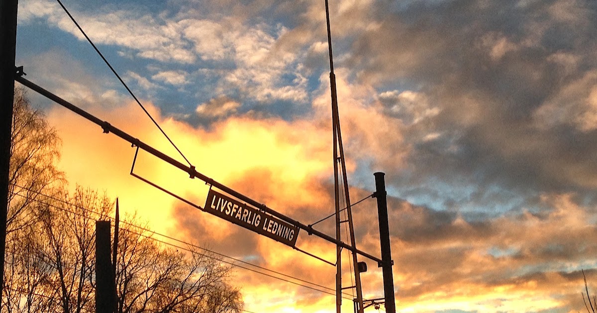 Our World Tuesday: Our World: 7 March 2016