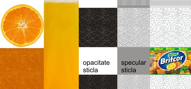 Visual Media: Animatie Brifcor - making of