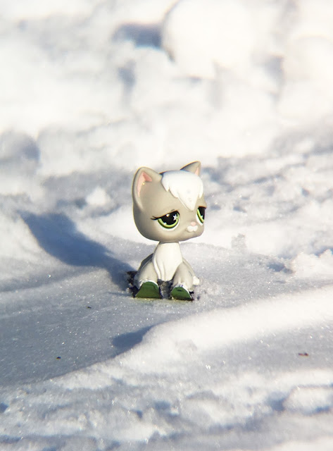 Adventures of the Littlest Pet Shop