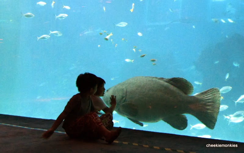 Cheekiemonkies: Singapore Parenting & Lifestyle Blog: Snuggling with ...